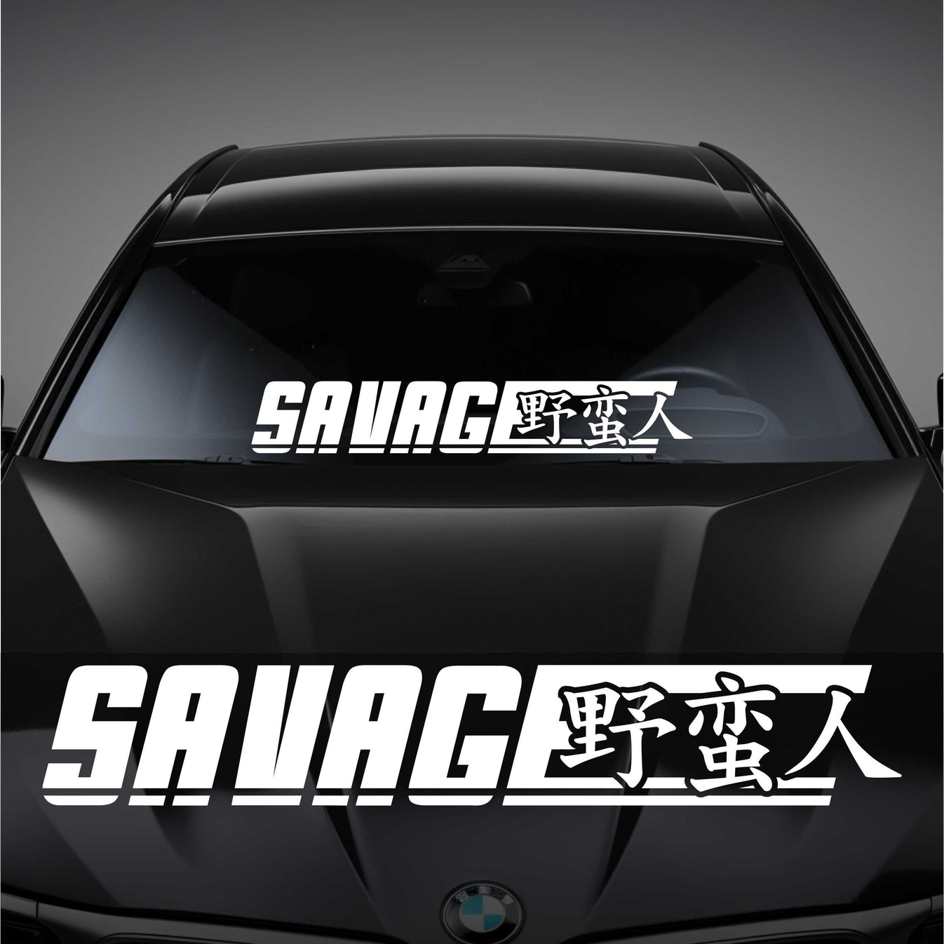 ''Savage'' - Plotted Vinyl Banner Decal – ledesigncustoms