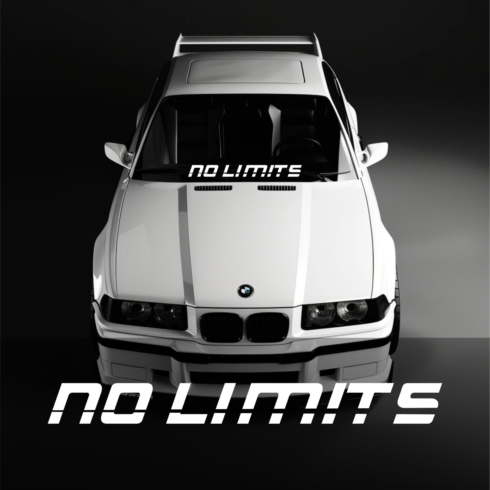 No Limits - Plotted Vinyl Banner Decal – ledesigncustoms